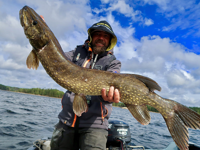 Sweden - Dark Water - Pike fishing guiding